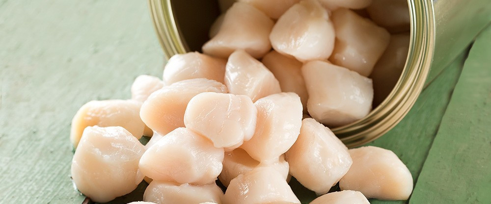 Best Fish & Seafood Market Edmonton | Catch of the Week!