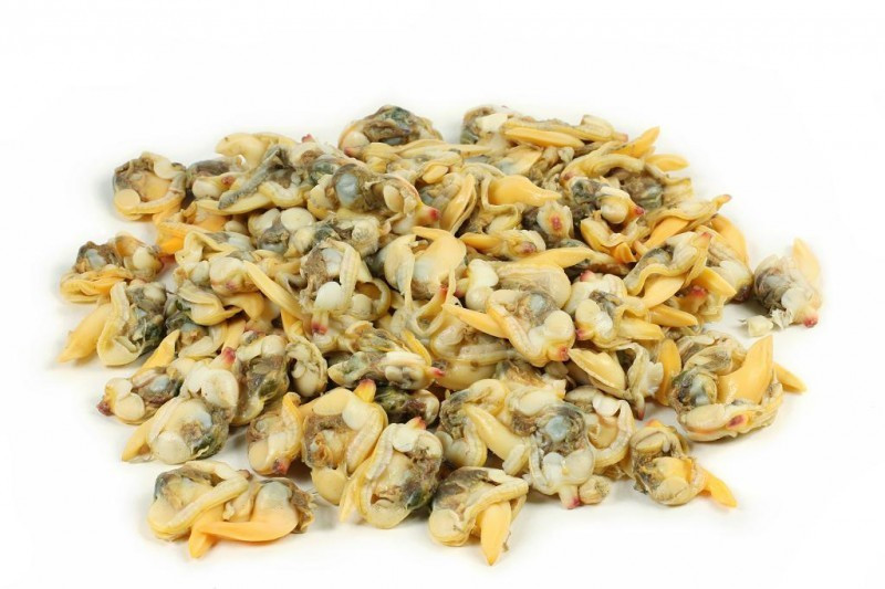 Best Yellow Clam Meat Recipes Edmonton | Catch of the Week!