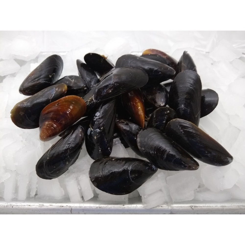 Best Fresh Fish & Seafood Market Edmonton | Catch of the Week!