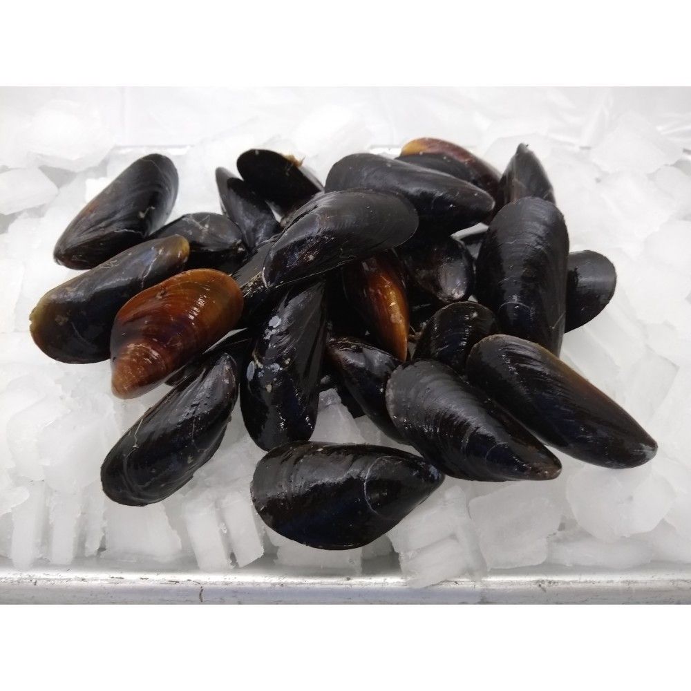 Best Fresh Fish & Seafood Market Edmonton | Catch of the Week!