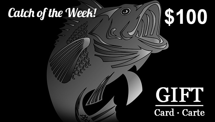 Best Fish & Seafood Market Edmonton | Catch of the Week!