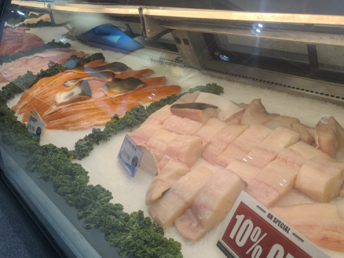 Best Fish & Seafood Source in Edmonton | Catch of the Week!