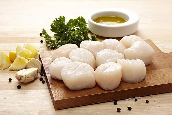 Best Fresh Fish & Seafood Market Edmonton | Catch of the Week!