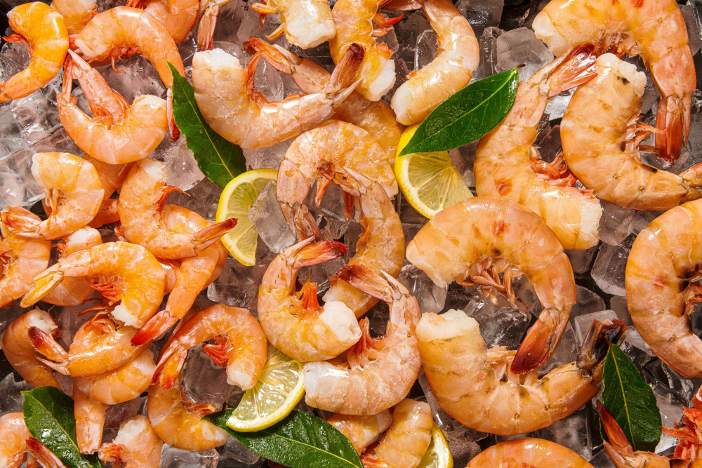 Best Fresh Fish & Seafood Market Edmonton | Catch of the Week!