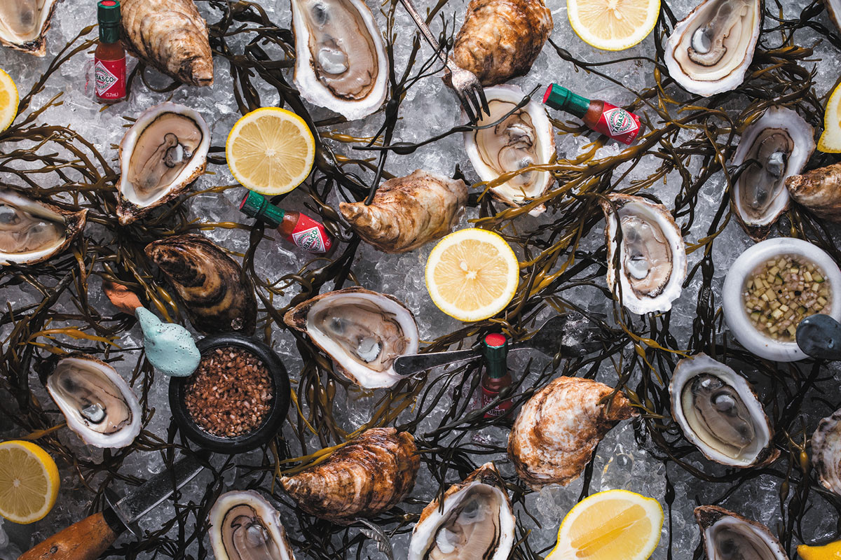 Best Live Oyster Market Edmonton | Catch of the Week!