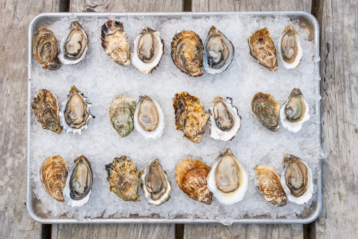 Best Live Oyster Market Edmonton | Catch of the Week!