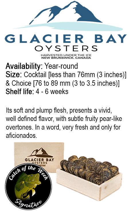 Best Live Oyster Market Edmonton | Catch of the Week!