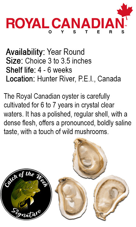 Best Fresh Fish & Seafood Market Edmonton | Catch of the Week!