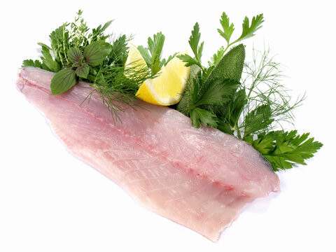 Best Fresh Fish & Seafood Market Edmonton | Catch of the Week!