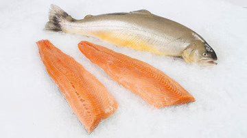 Best Fresh Fish & Seafood Market Edmonton | Catch of the Week!
