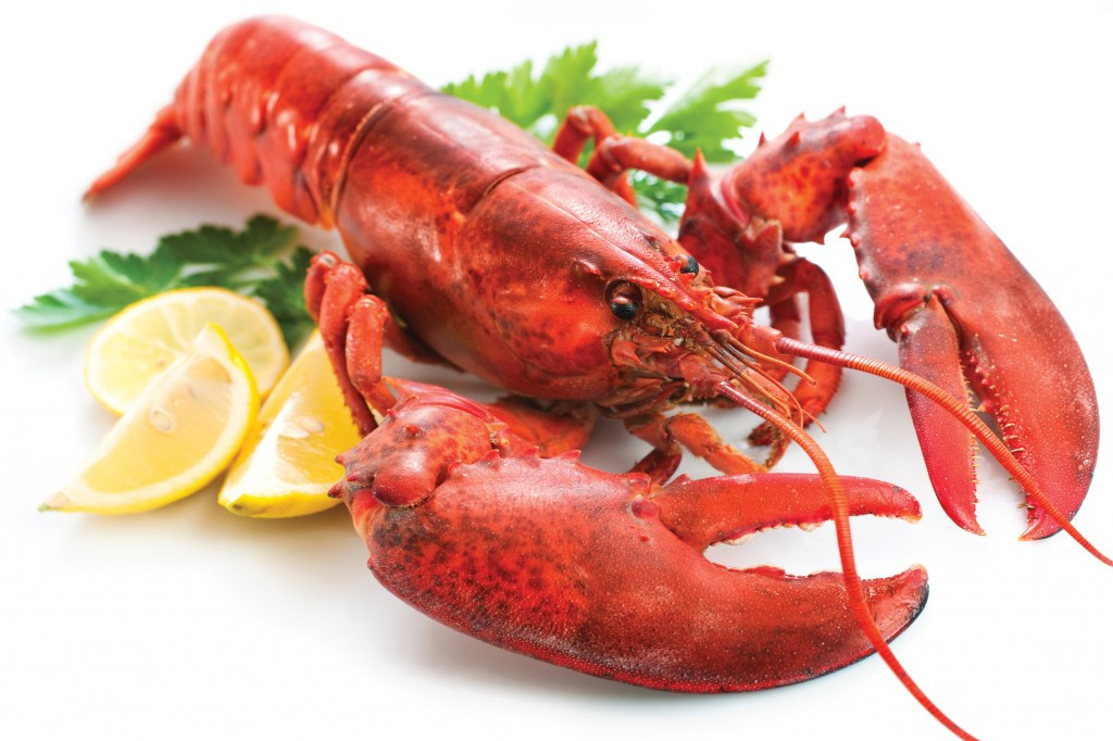 Best Live lobster & Crab Market Edmonton | Catch of the Week!