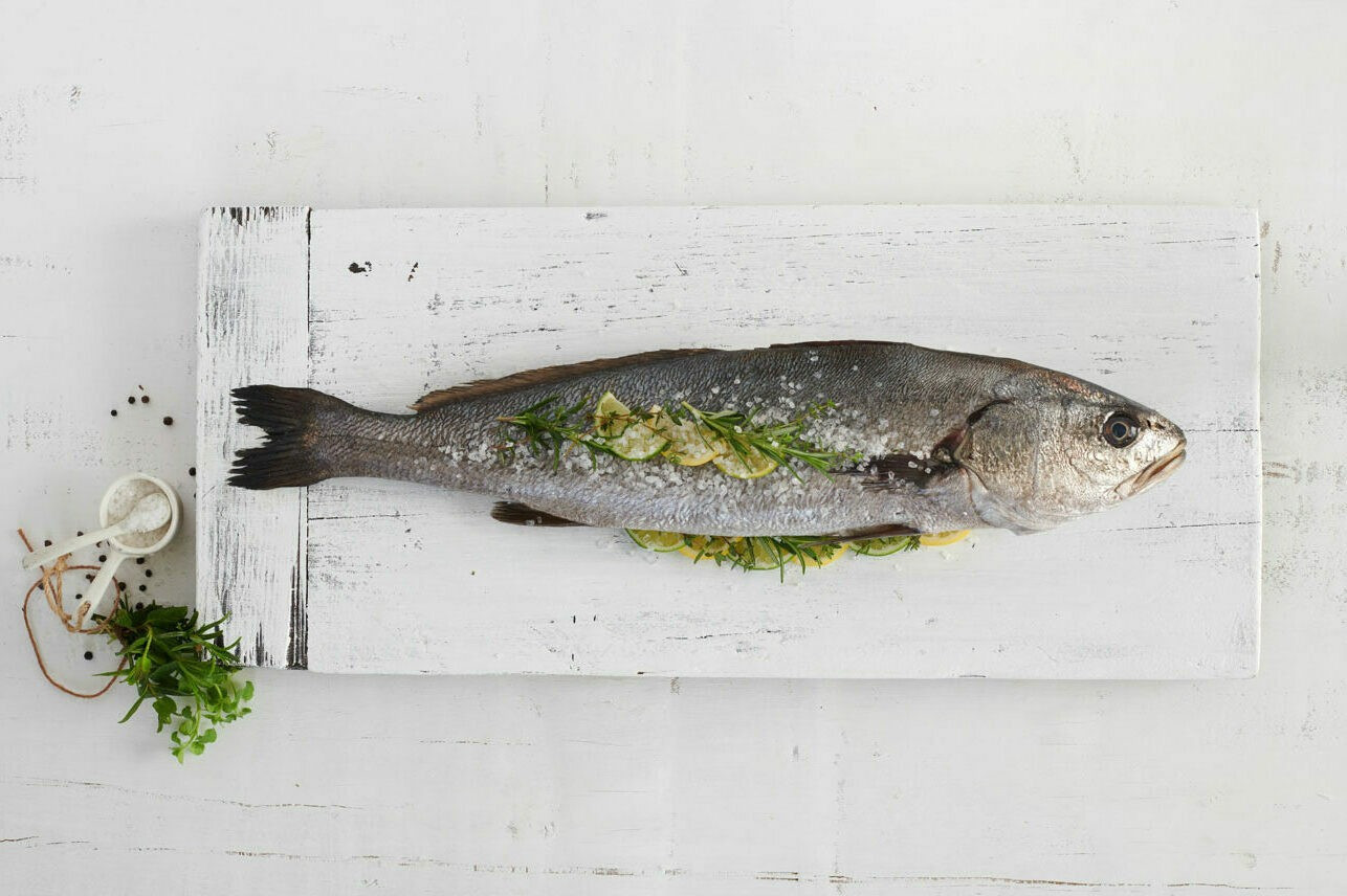 Best Salmon Bass Recipes Edmonton | Catch of the Week!