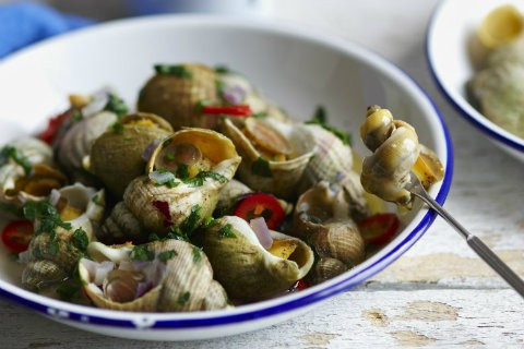 exploring whelks a beginner s guide to enjoying this unique seafood ...