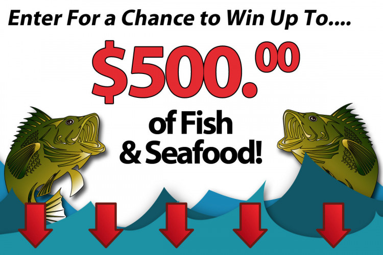 Enter to Win $100 or $500 of Free Fish & Seafood! | Catch of the Week!