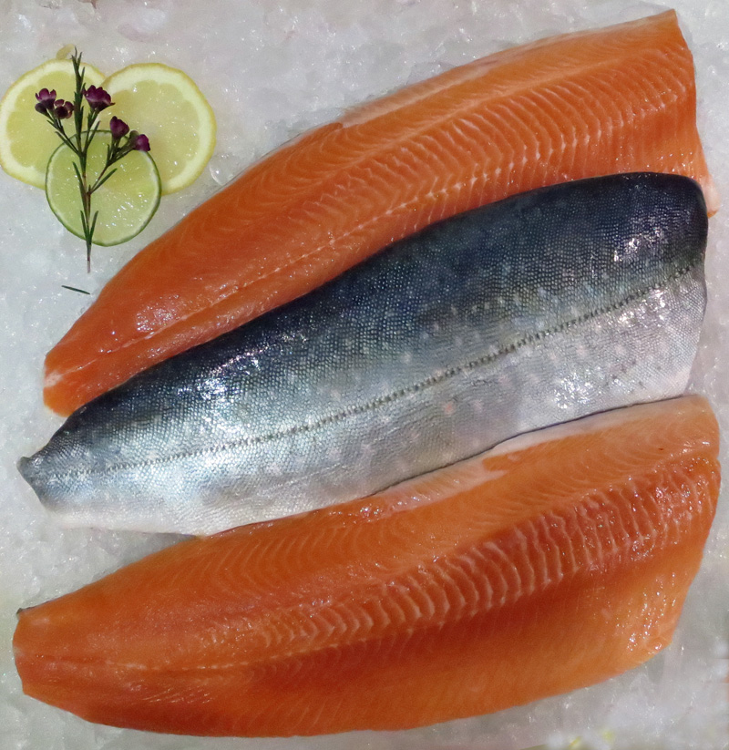 Best Fresh Fish & Seafood Market Edmonton | Catch of the Week!