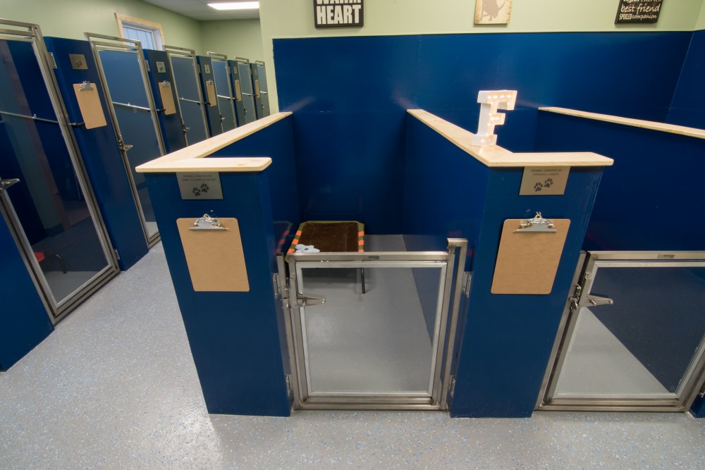 Home [www.fetchafriendrescue.org]