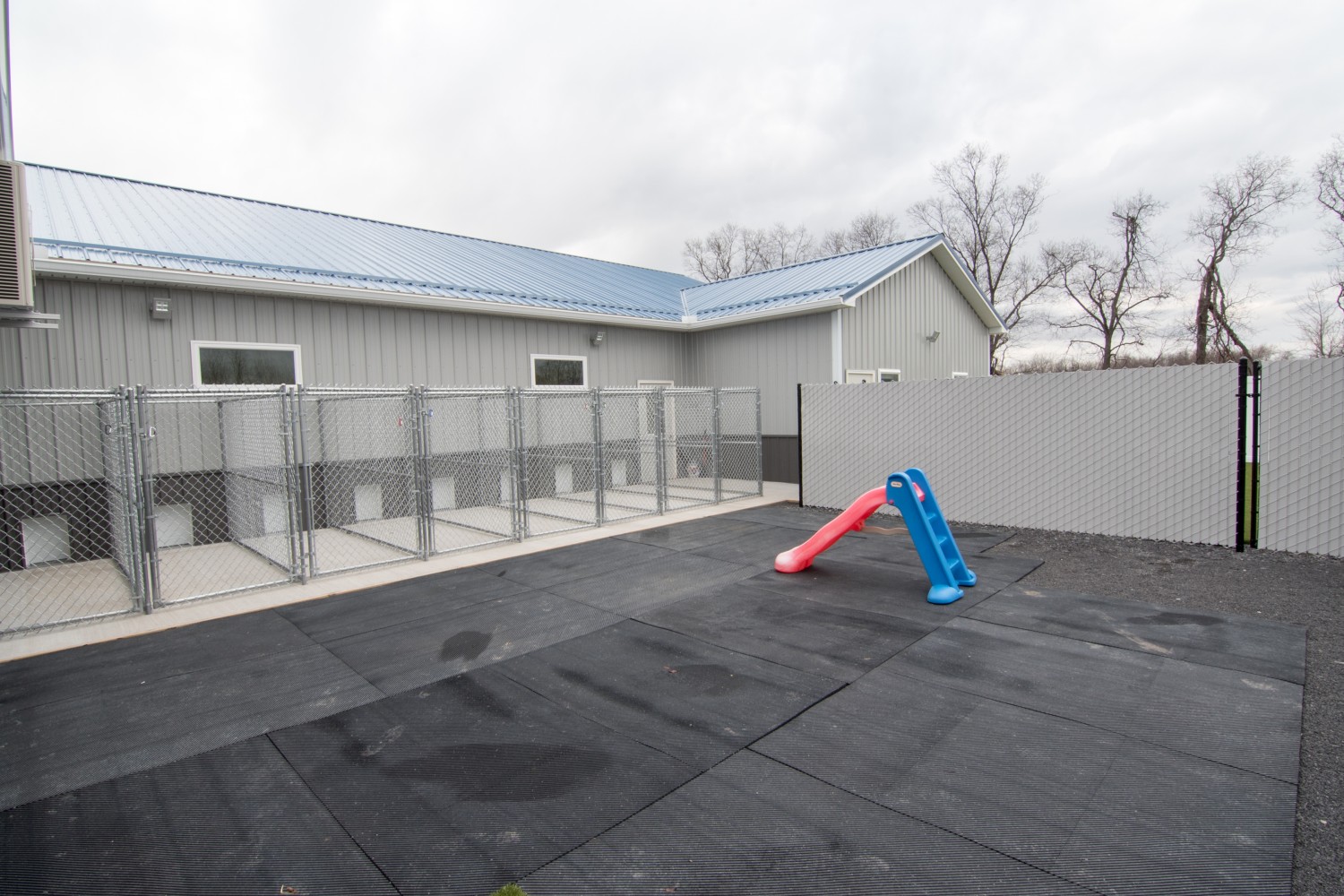 Home [www.fetchafriendrescue.org]