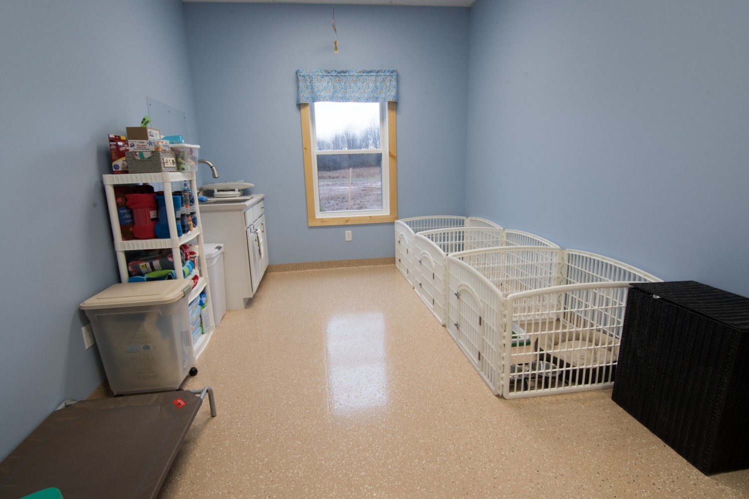 Home [www.fetchafriendrescue.org]