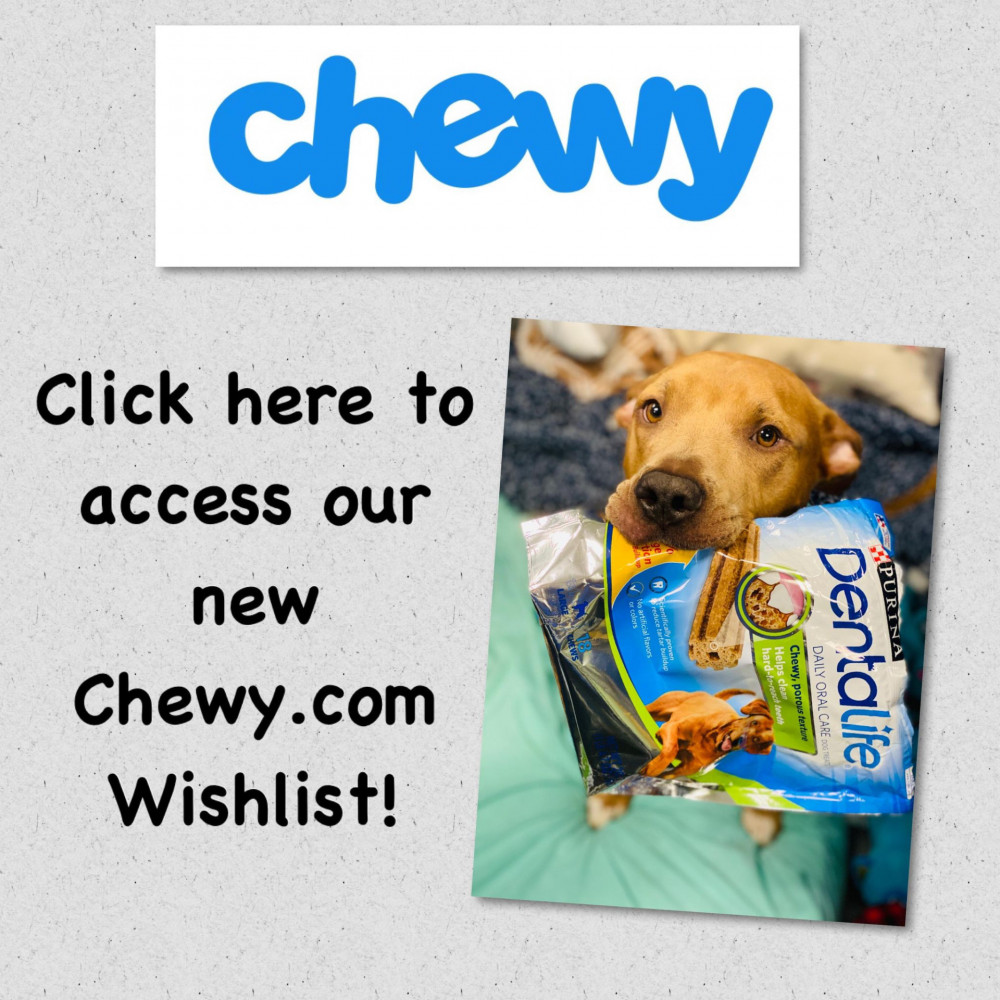 Home [www.fetchafriendrescue.org]