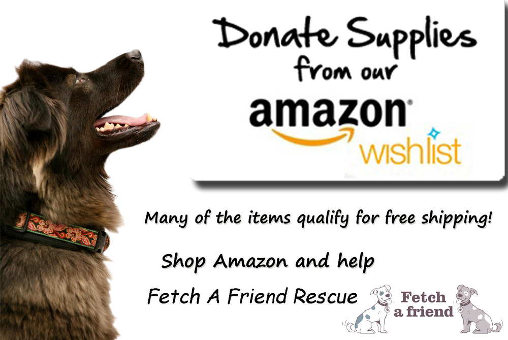 Home [www.fetchafriendrescue.org]