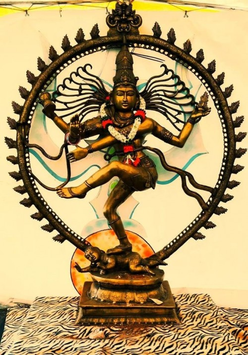 Goa Cream's 10th Edition