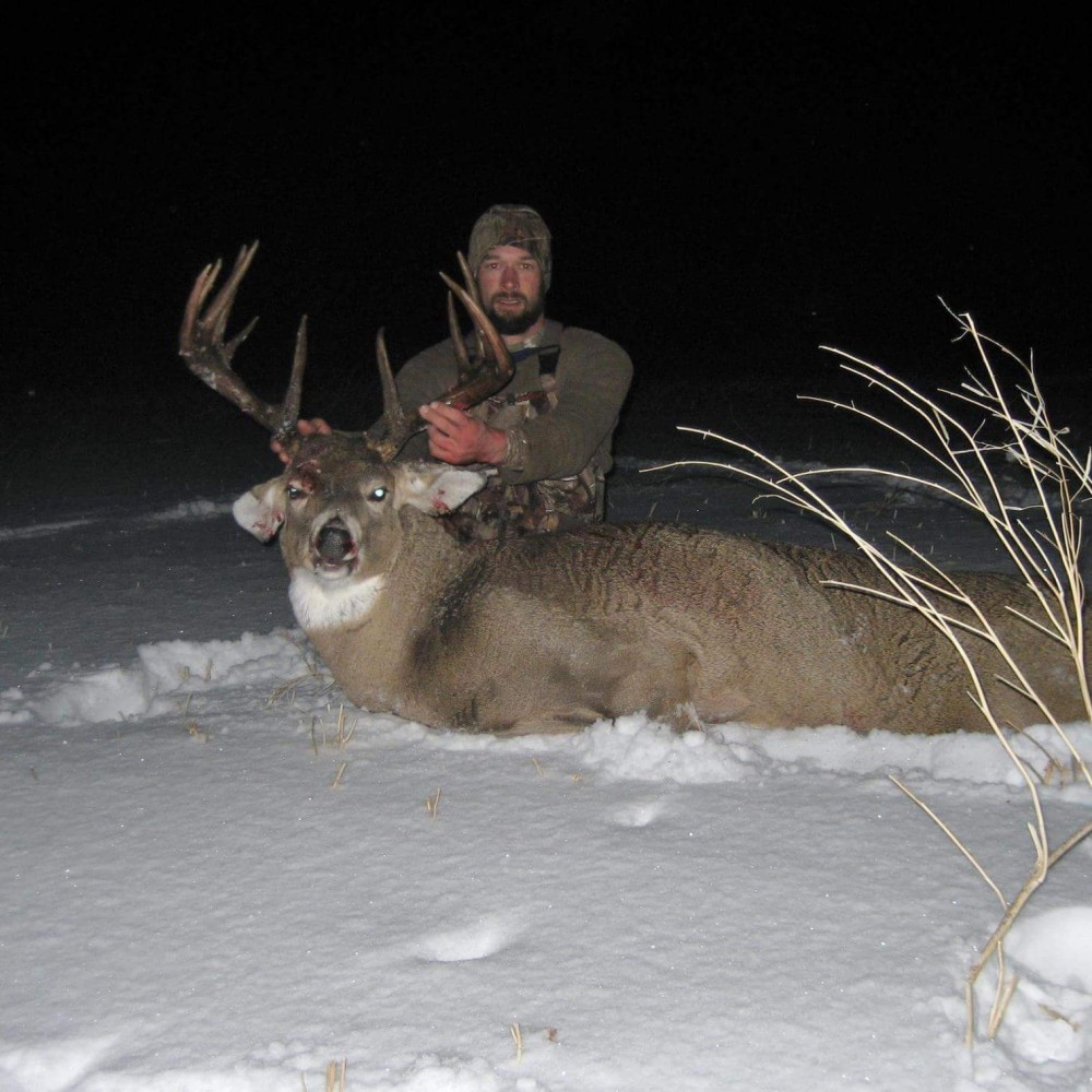 Whitetail Deer | Harvest Lodge