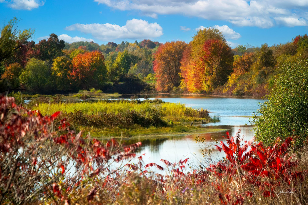 Hullett Marsh Provincial Wildlife Area