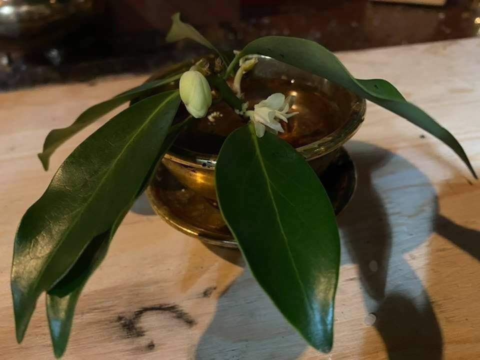 activity | the sādhanā dedicated to the great ascetic bodhisattva