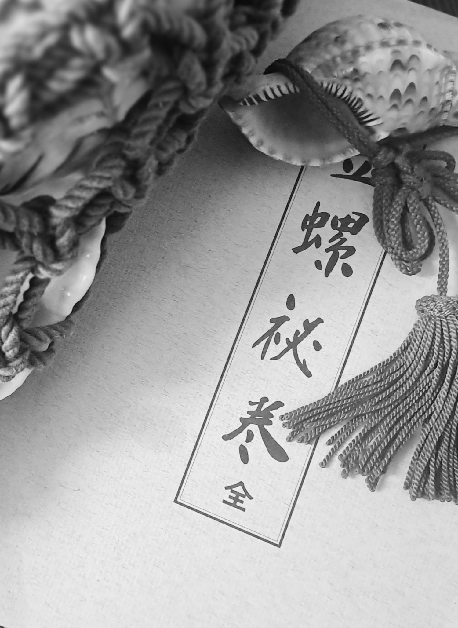 activity | horagai ryūra