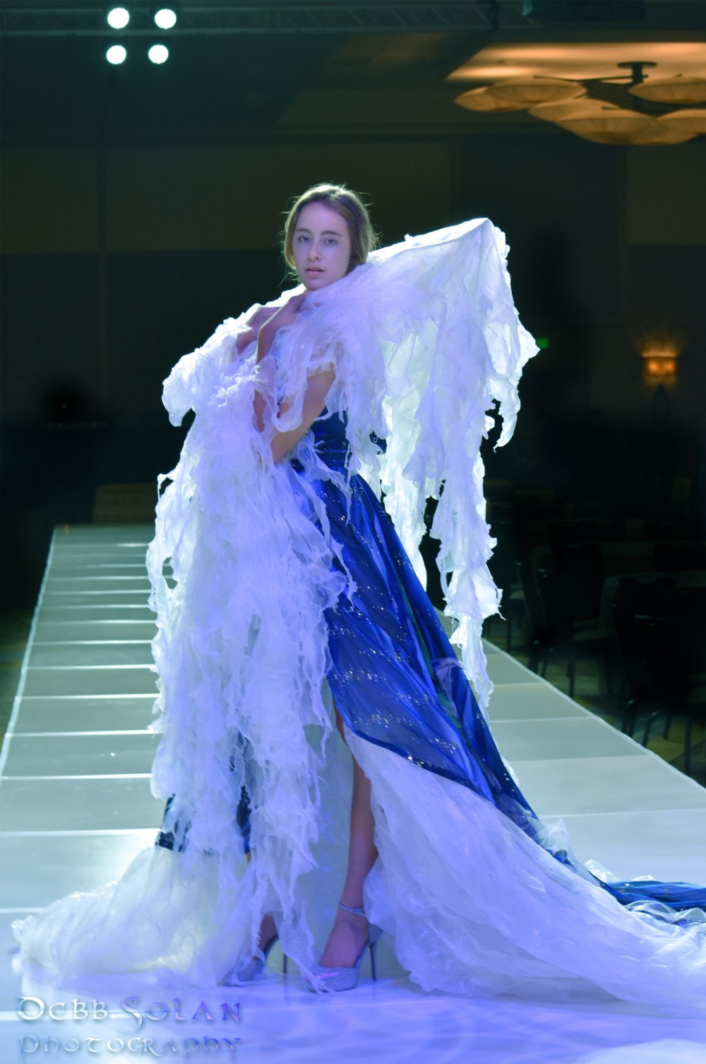 Fashions Runway Costume