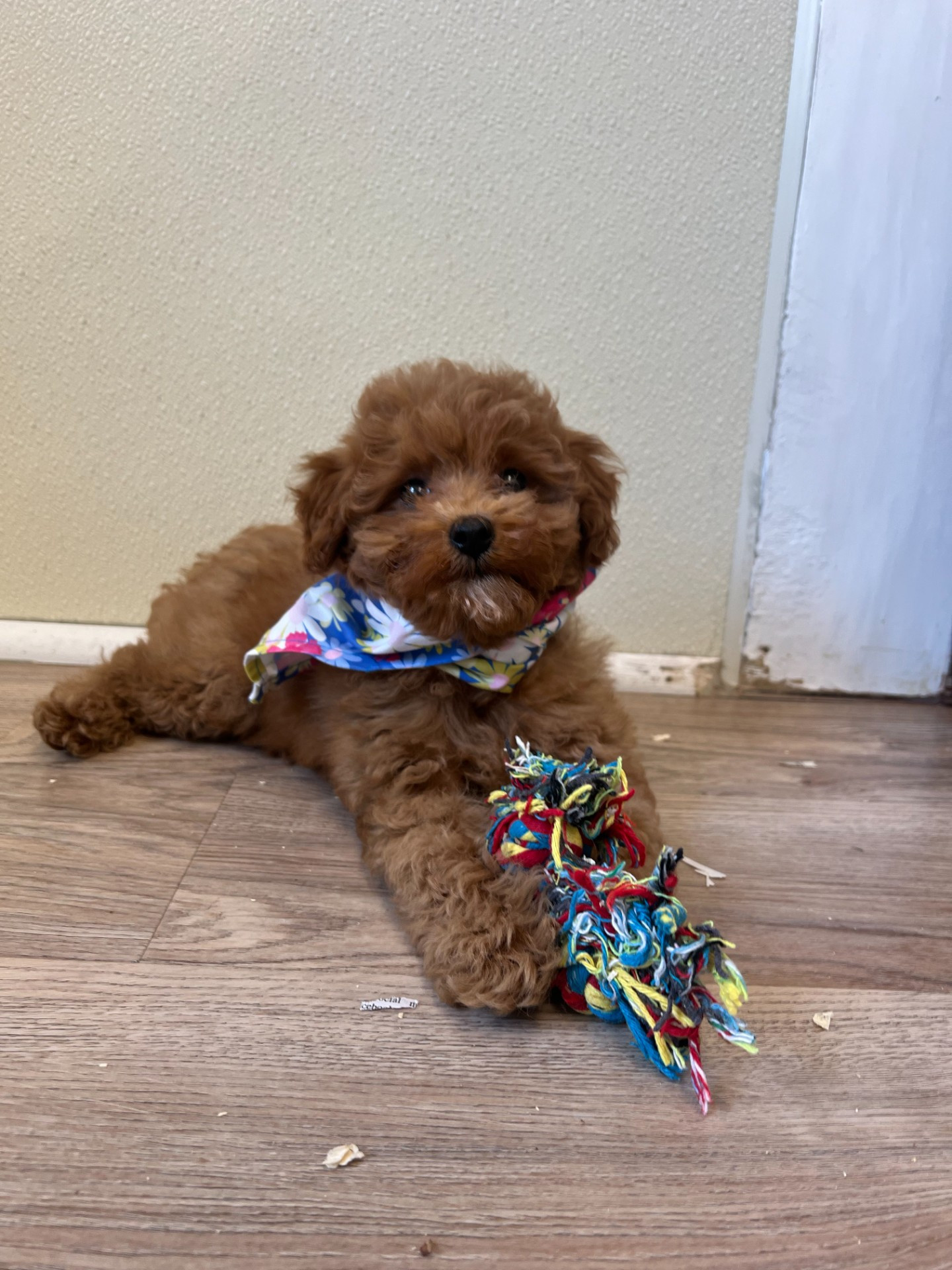 Pictures Coming Soon!