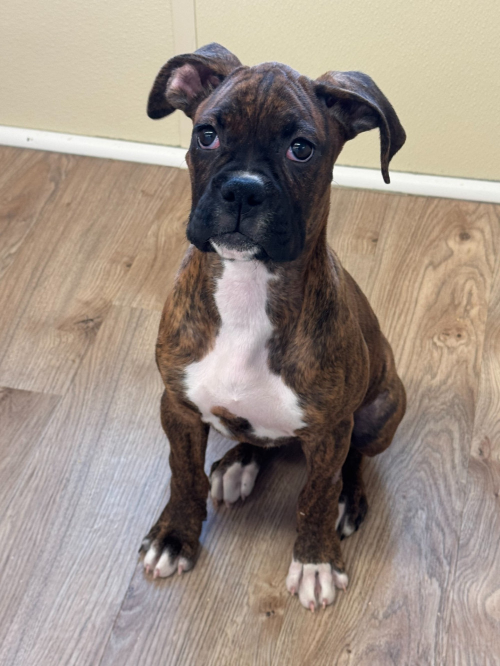 Pictures Coming Soon!