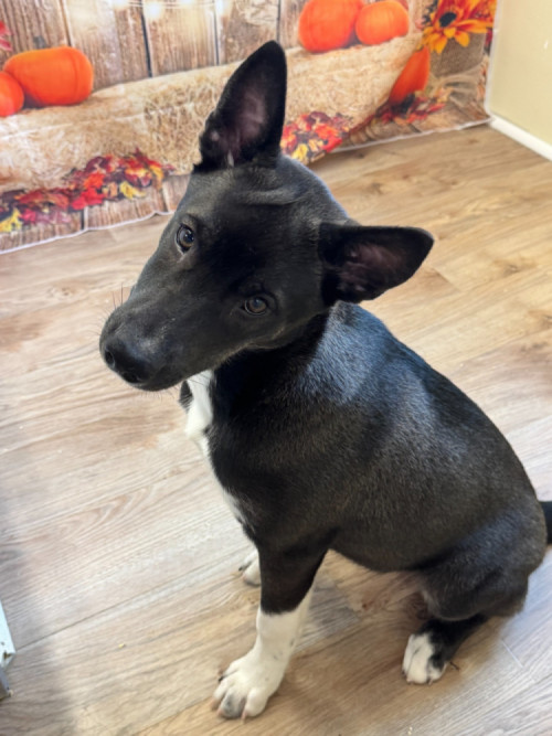 Pictures Coming Soon!