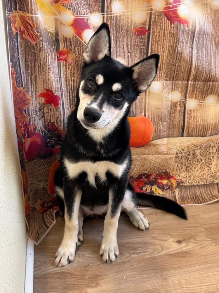 Pictures Coming Soon!