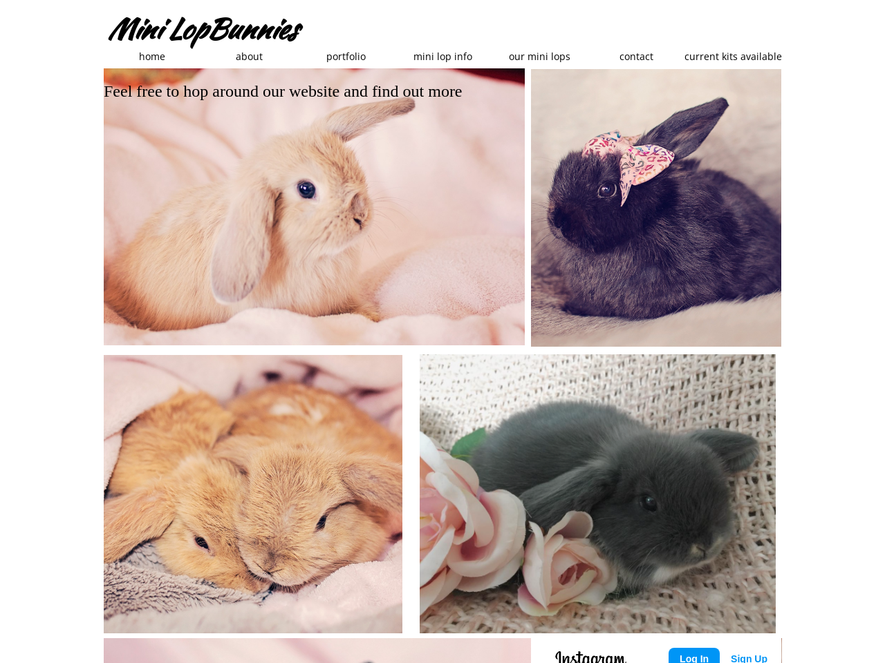 Explore Websites Created by WebStarts Users | WebStarts