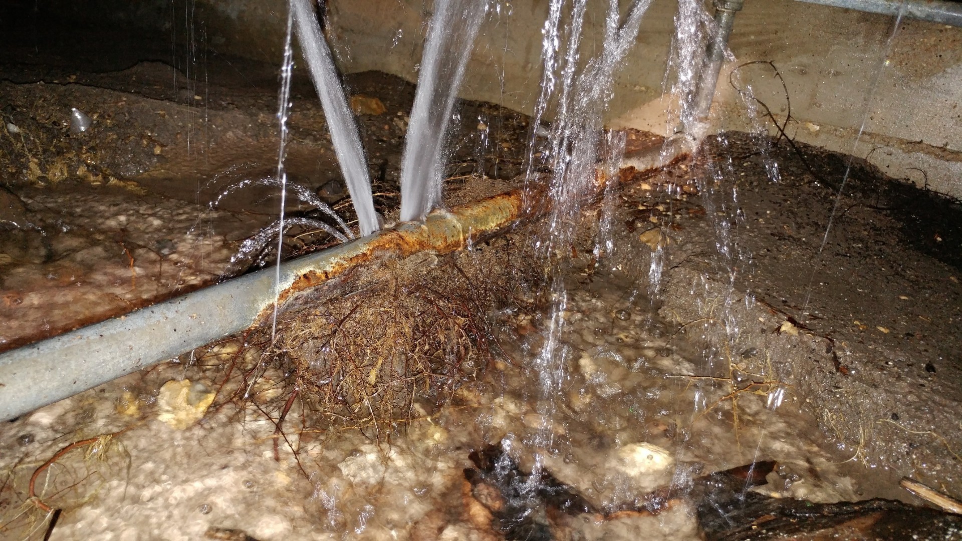 React-Fast Plumbing Professional Plumbing Service