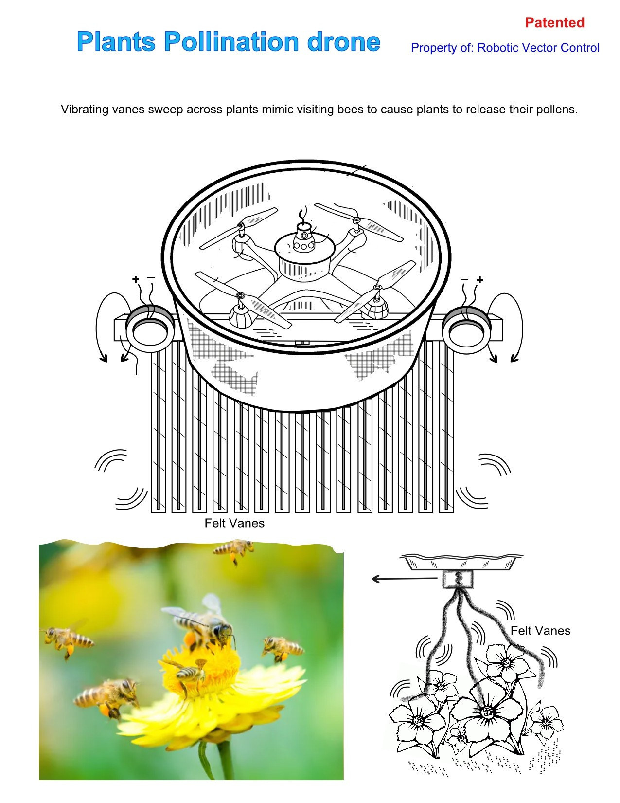 Plant pollination drone