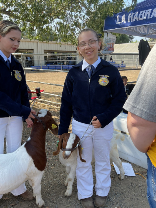 Alyssa's Barnyard | FFA Market Steer Project 2025