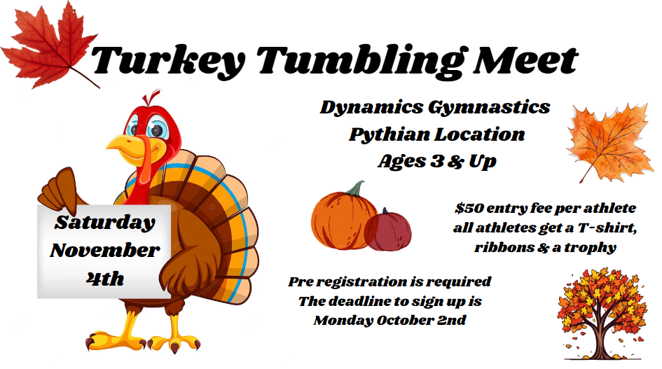 Home [www.dynamics-gymnastics.com]