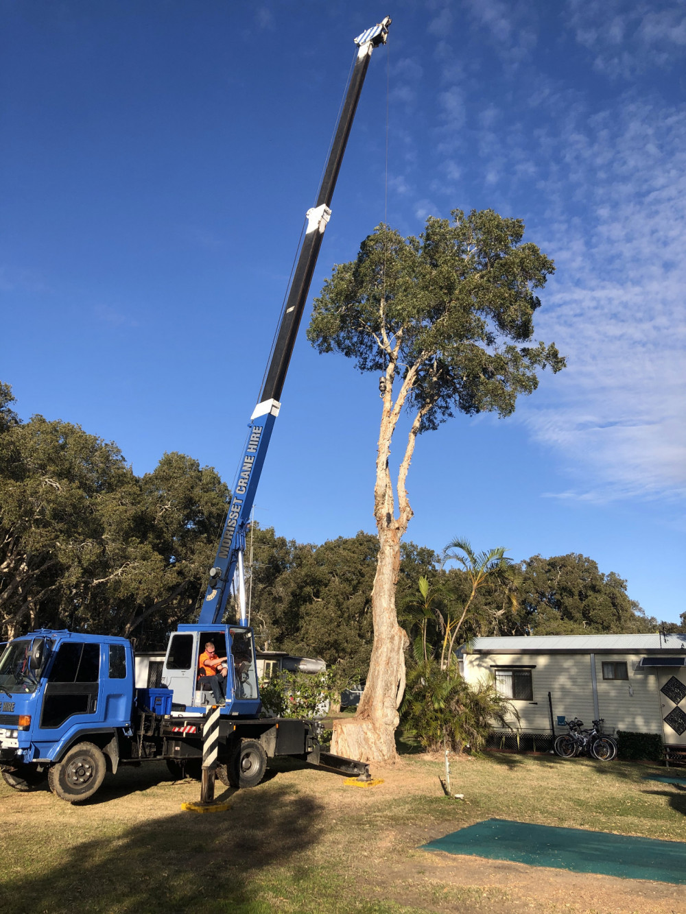 Central Coast Treeworx : Providing a wide range of specialized tree ...