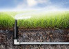 Purchase The Wilton Thinline Trenching Spade. Official Site