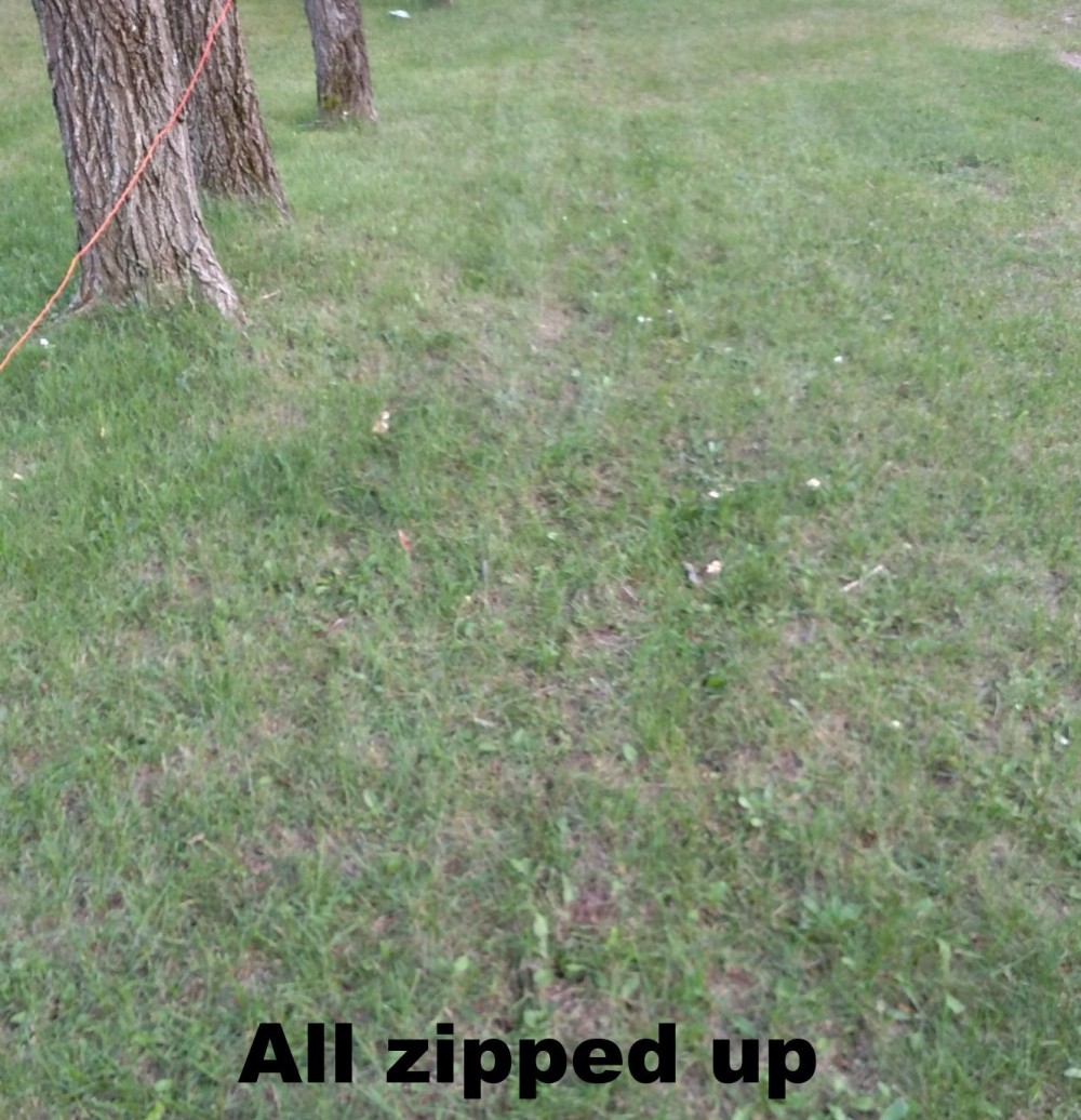 Purchase The Wilton Thinline Trenching Spade. Official Site