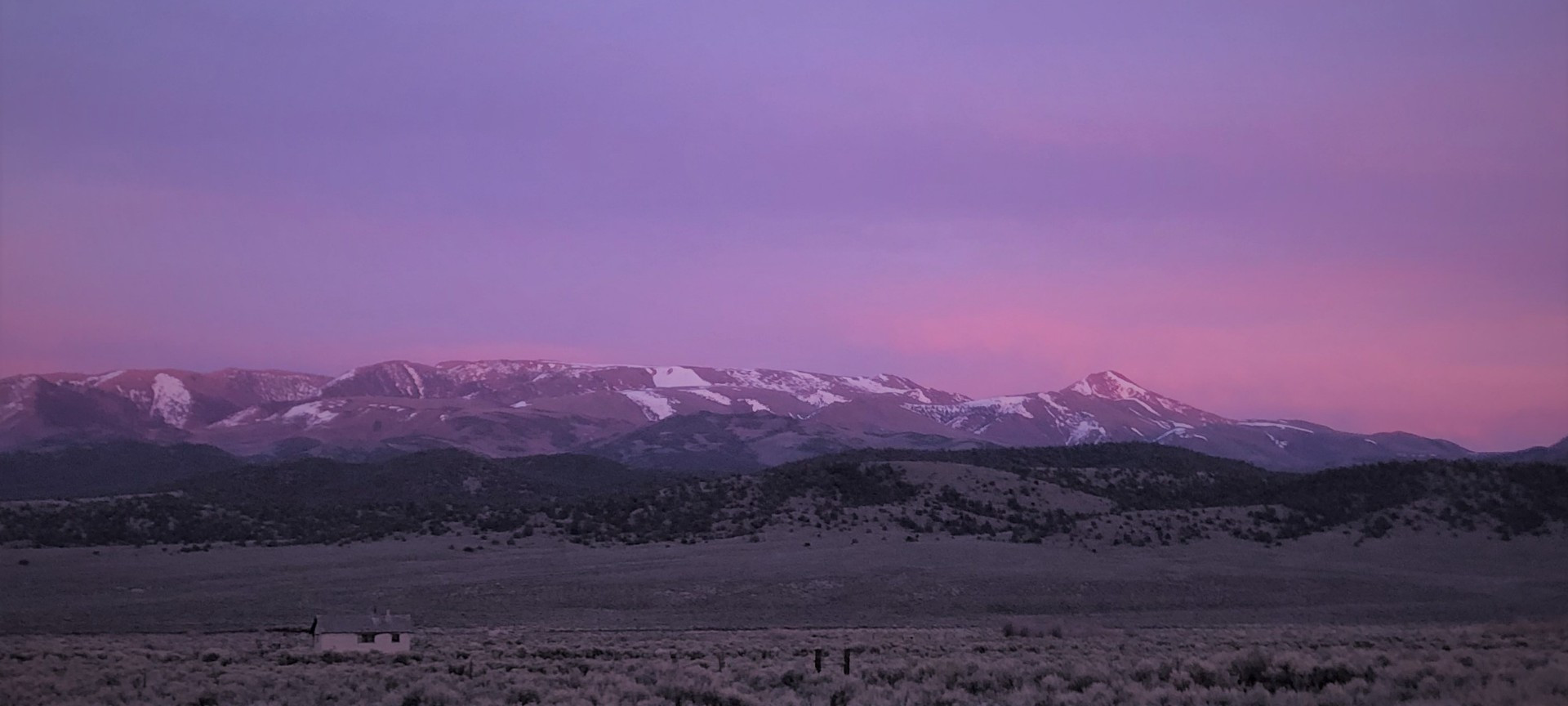 Home [www.yombatribe.org]