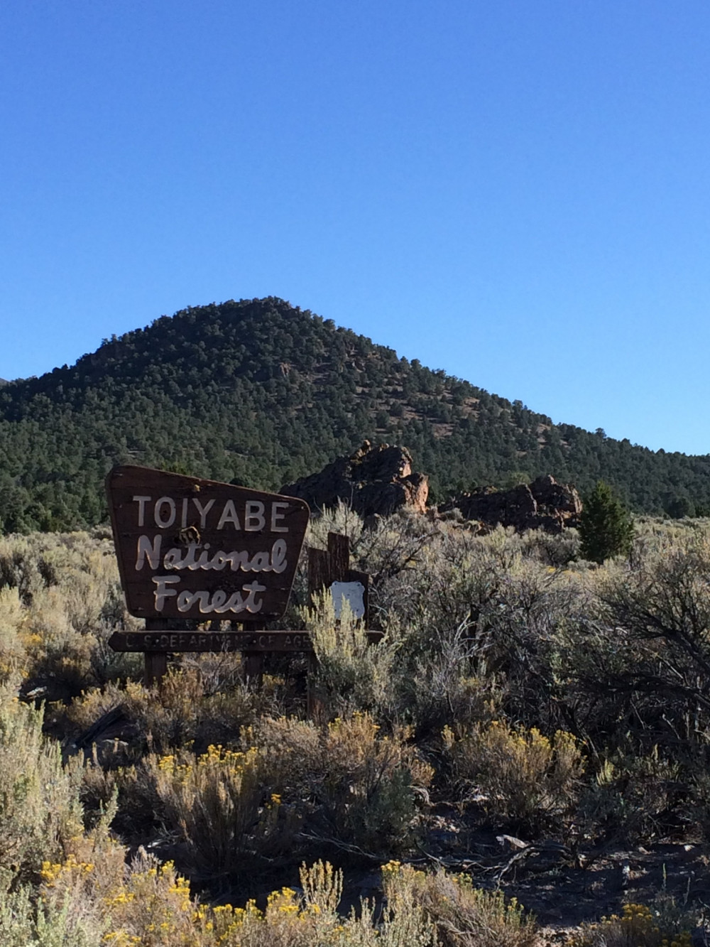 Home [www.yombatribe.org]