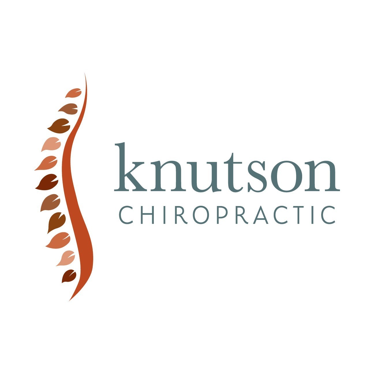 Dr. Stacy Knutson