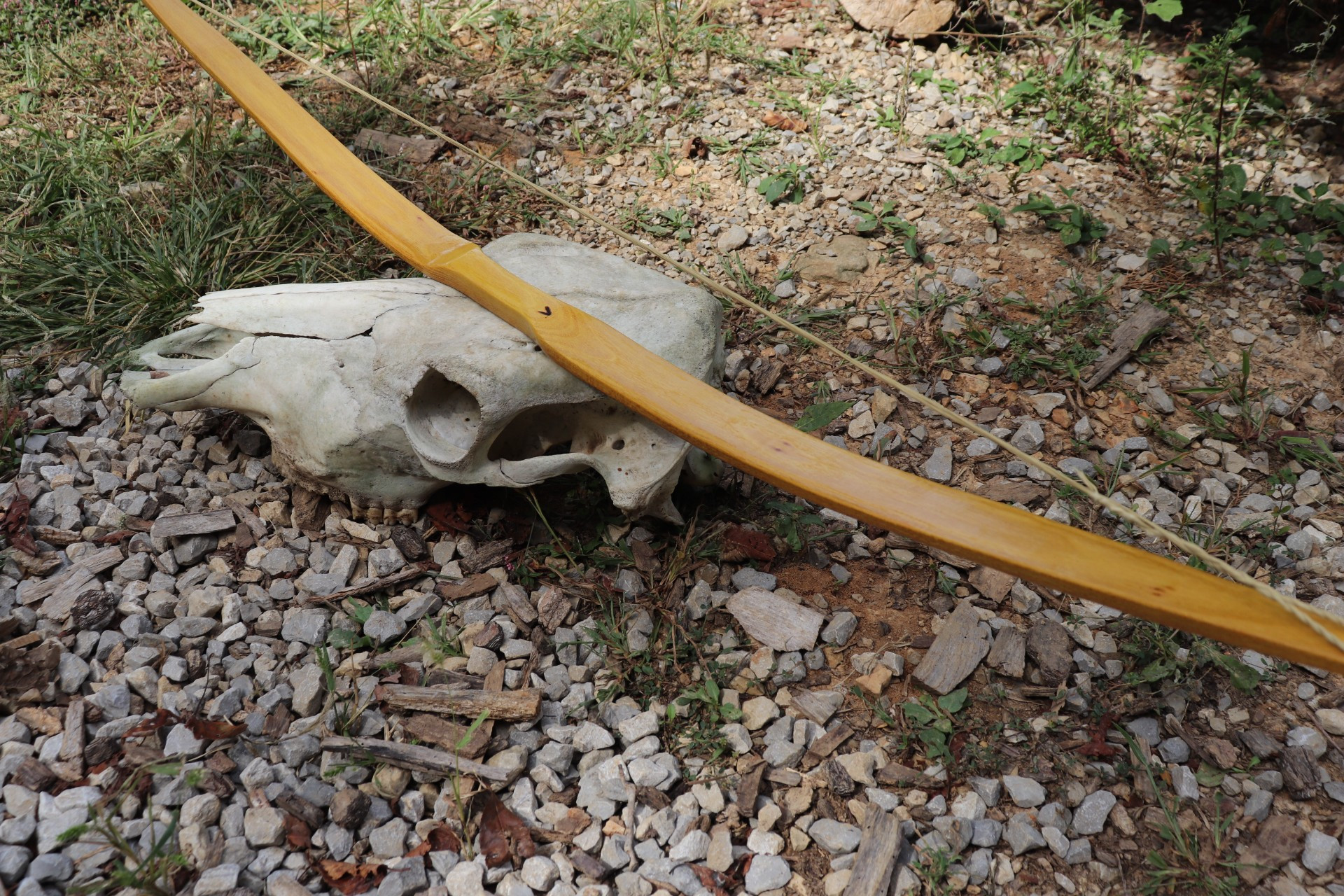 Comanche Osage Hunting bow