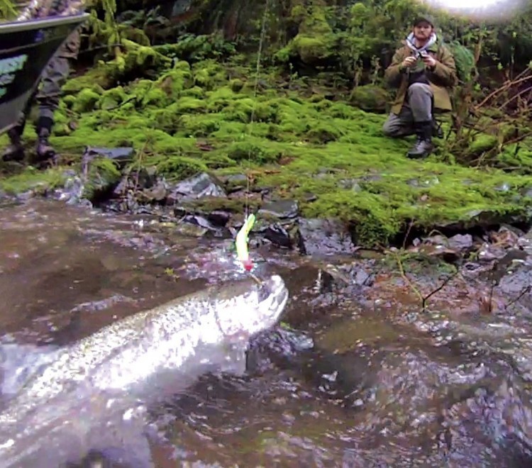 Kalama river guided fishing - Guided Salmon & Steelhead Fishing