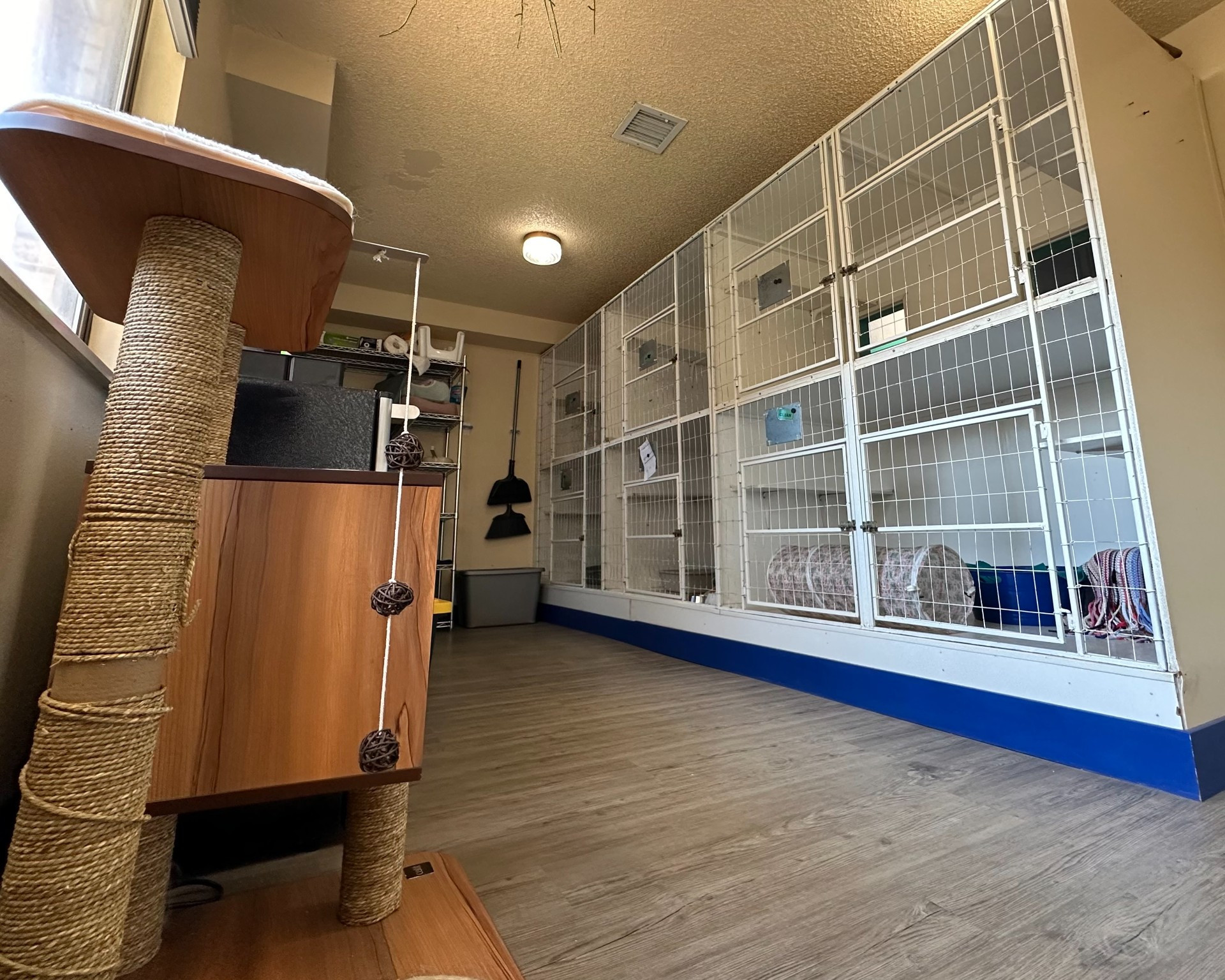 Creature Comforts Pet Retreat - Home