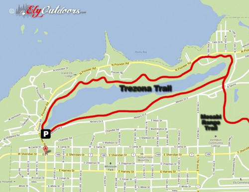 Ely Trezona
