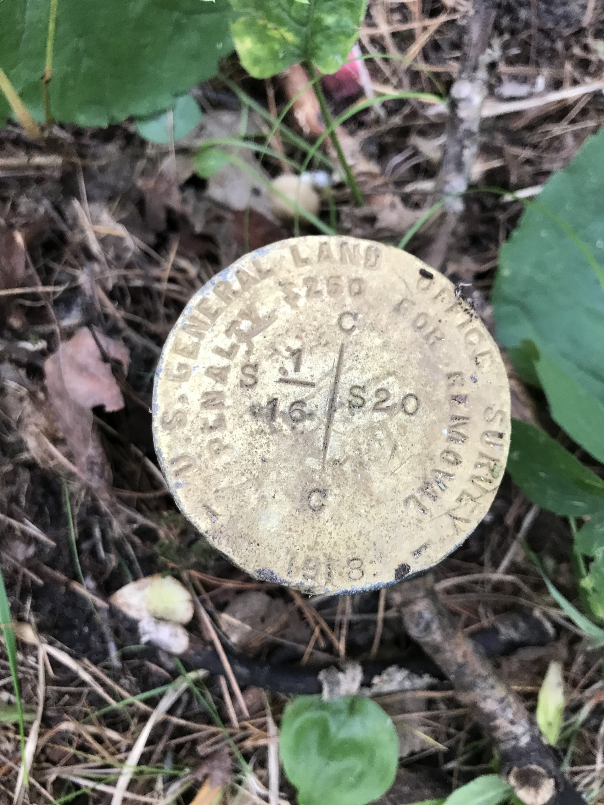 Types of Land Surveys